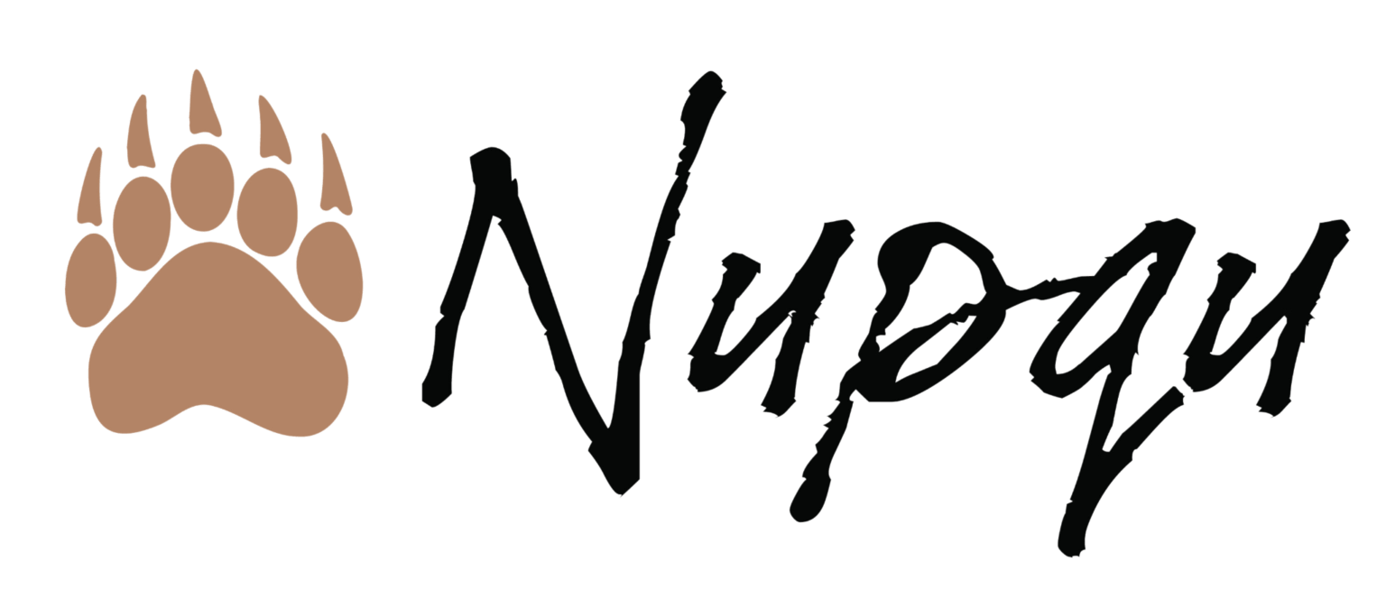 Fording River Extension Project - Nupqu